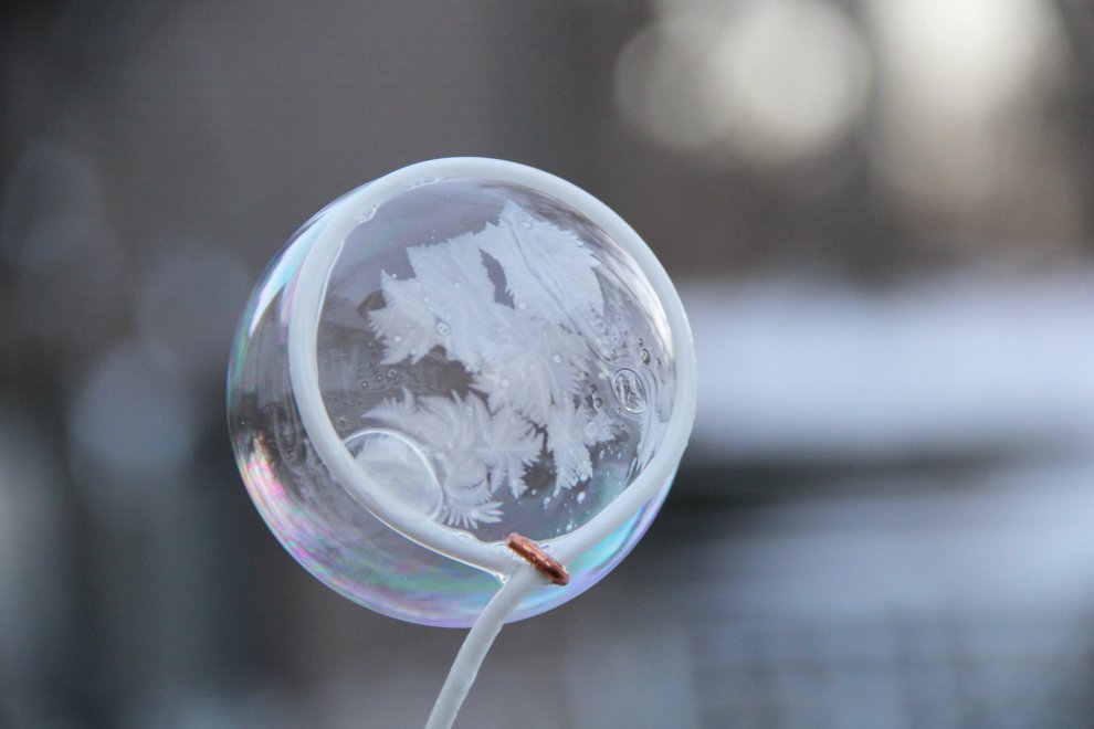 Bubblicious or Cold Retrospective – My Commonplace Blog